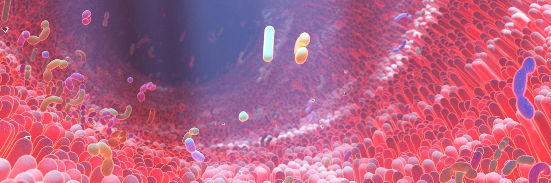 Life Sciences Fund | Investment Focus | JIMCO